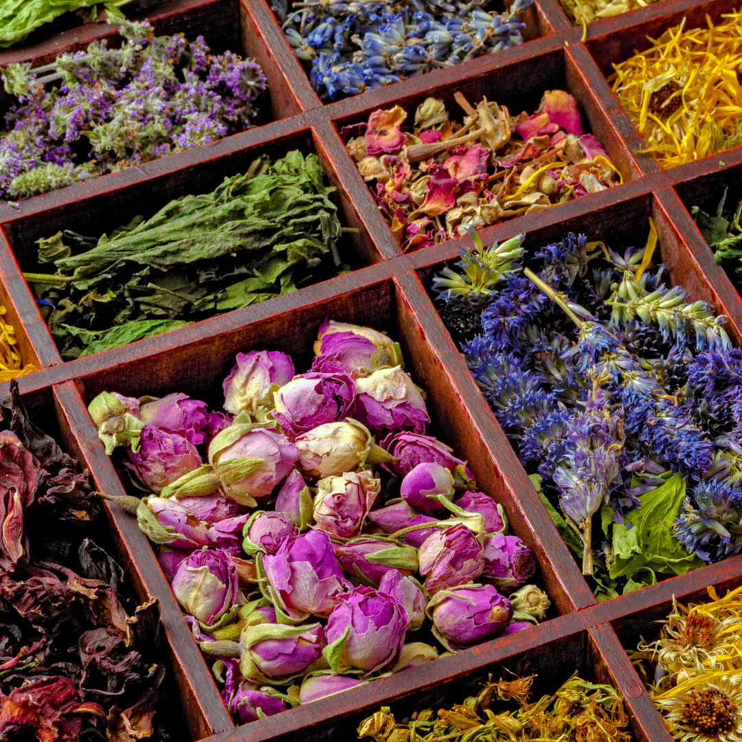 Herbal Teas – Caribbean Bush Tea