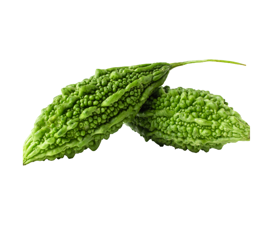 Bitter Melon – Caribbean Bush Tea