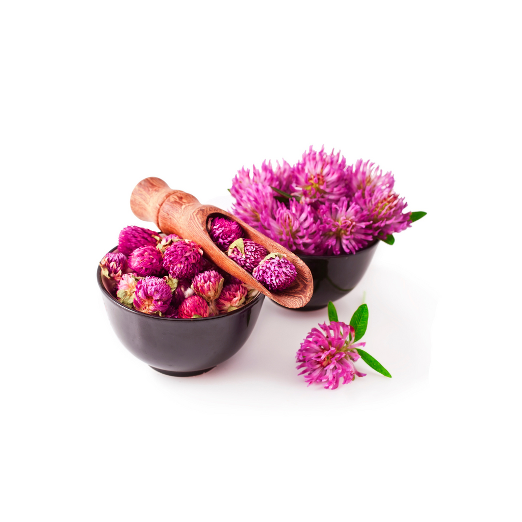 Red Clover Tops – Caribbean Bush Tea